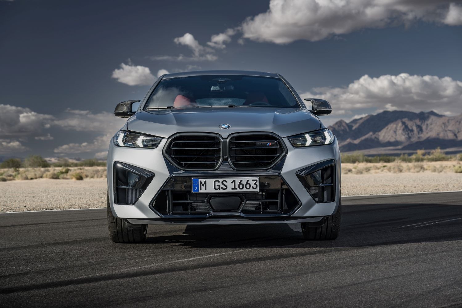 BMW X6 M technical specifications and fuel economy
